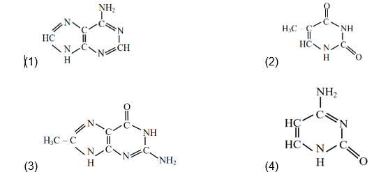 Biomolecules_JEE-Main_060424_(S1) - Competishun – Live JEE & NEET ...